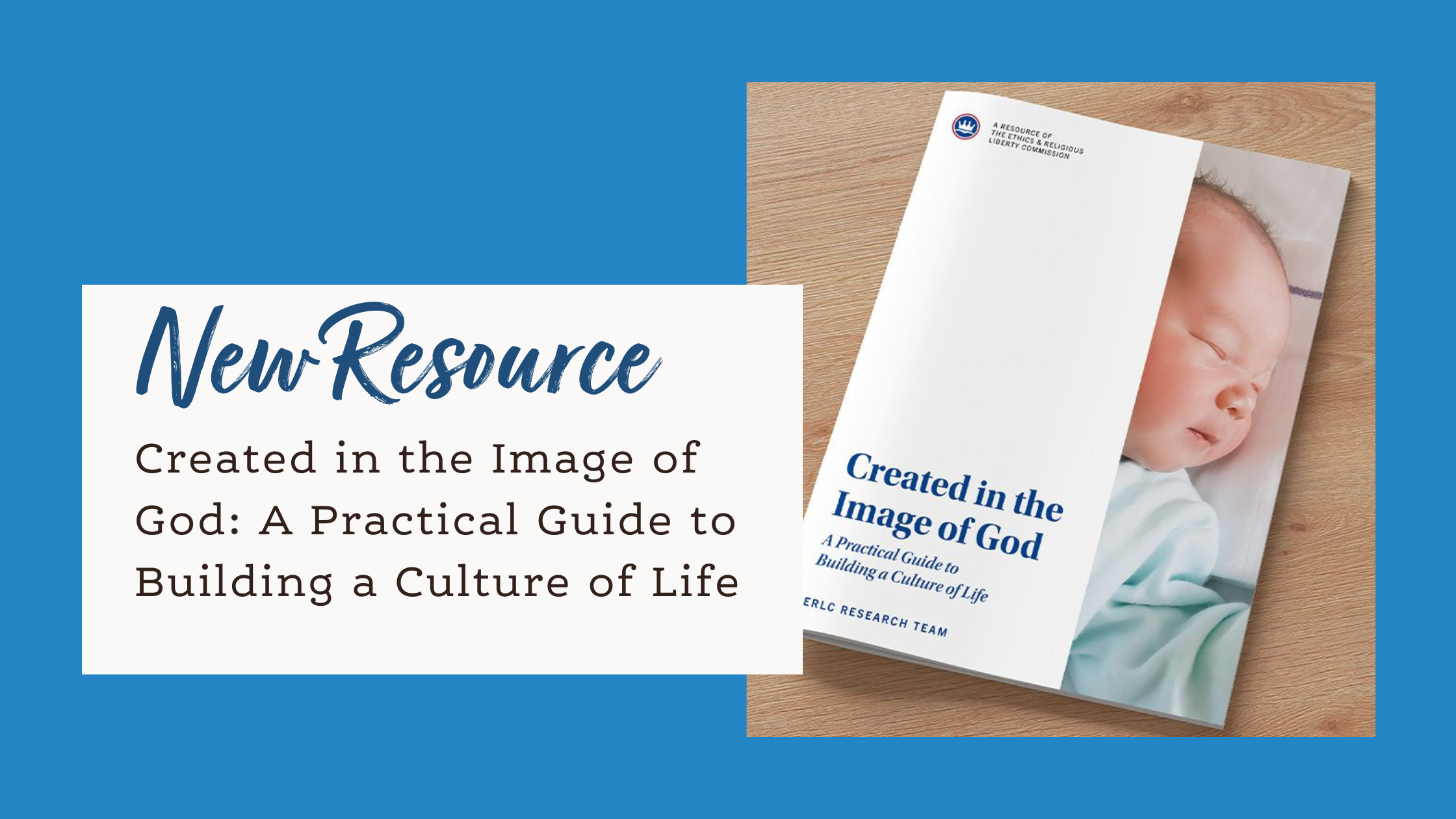 (Download) Created in the Image of God: A Practical Guide to Building a ...